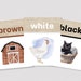 FARM THEME COLOR Posters for Classroom, Printable Farm Theme Color ...
