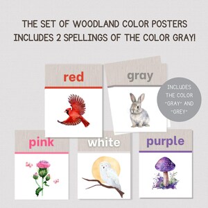 WOODLAND COLOR POSTERS for Classroom, Printable Color Wall Posters ...