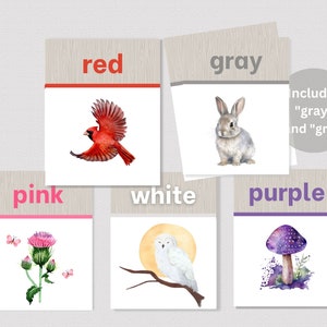 Woodland Color Posters for Classroom, Printable Wall Posters - Etsy