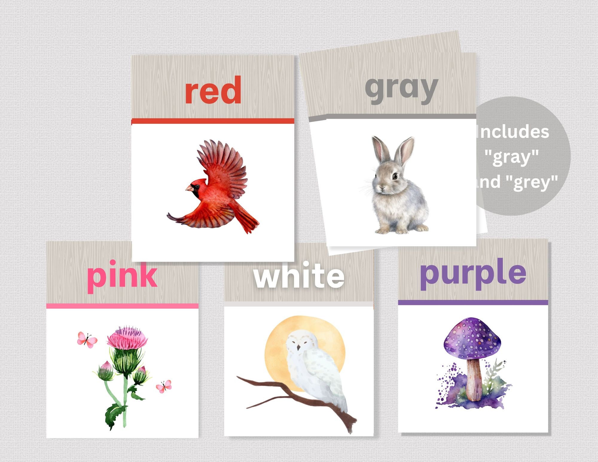 WOODLAND COLOR POSTERS for Classroom Printable Color Wall - Etsy Australia