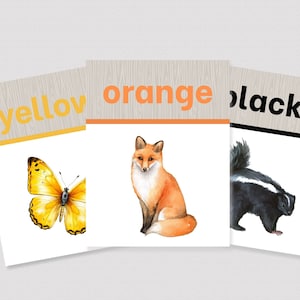 WOODLAND COLOR POSTERS for Classroom, Printable Color Wall Posters ...