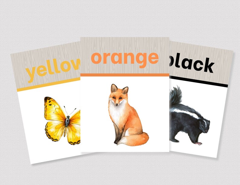 WOODLAND COLOR POSTERS for Classroom, Printable Color Wall Posters ...