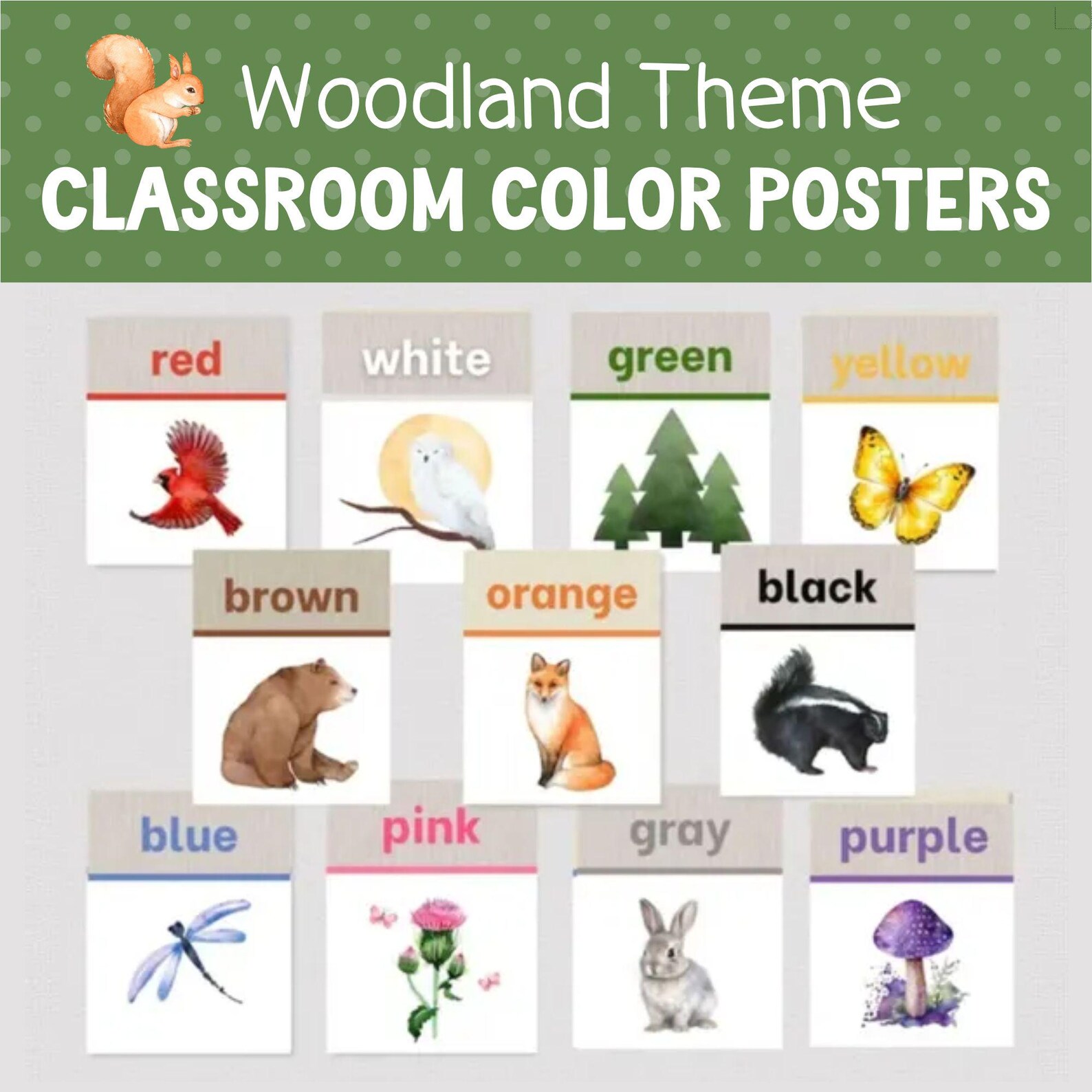 WOODLAND COLOR POSTERS for Classroom, Printable Color Wall Posters ...