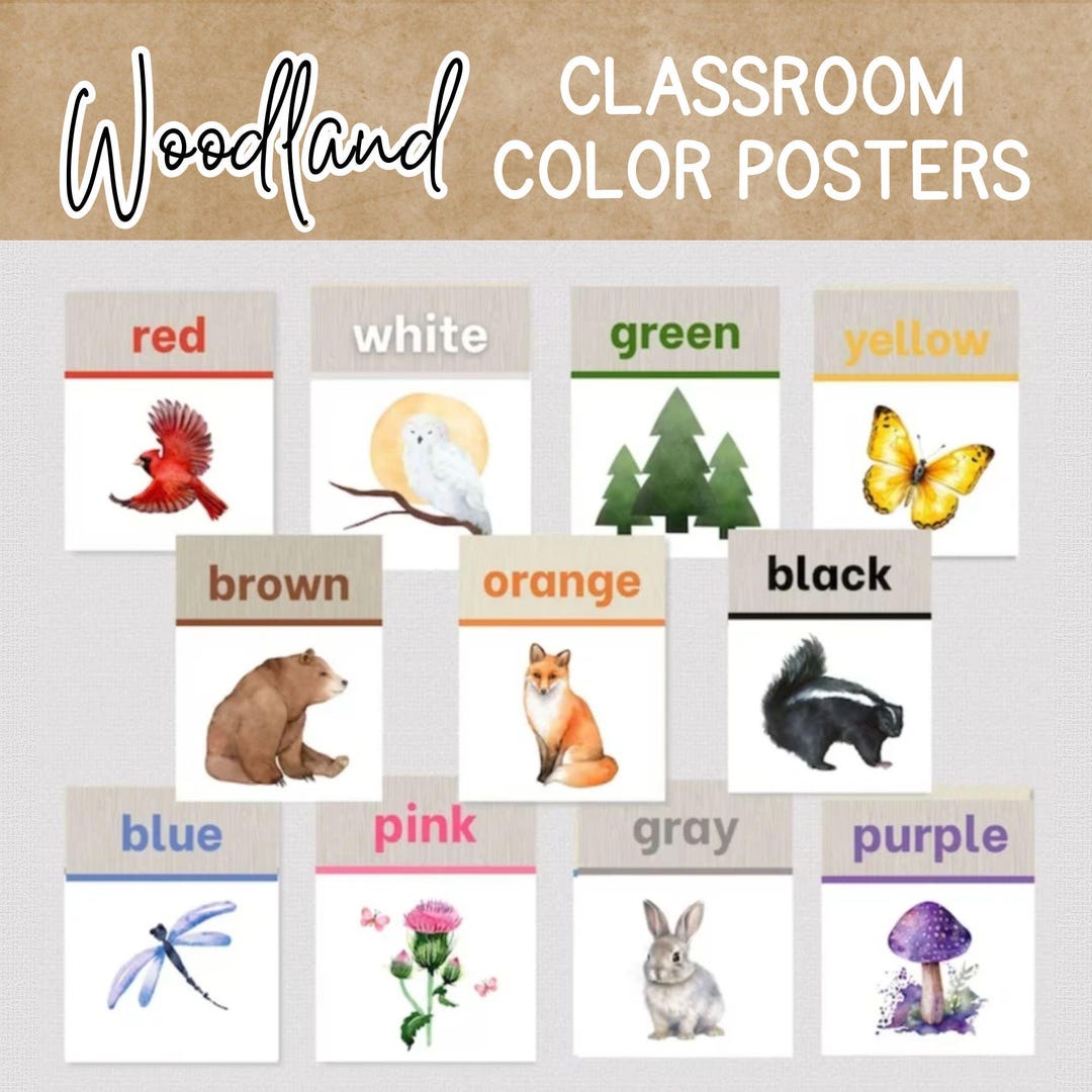 WOODLAND COLOR POSTERS for Classroom, Printable Color Wall Posters ...