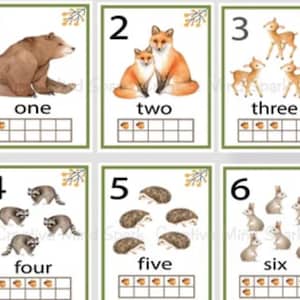 WOODLAND CLASSROOM DECOR Bundle, Printable Woodland Decor for Classroom ...