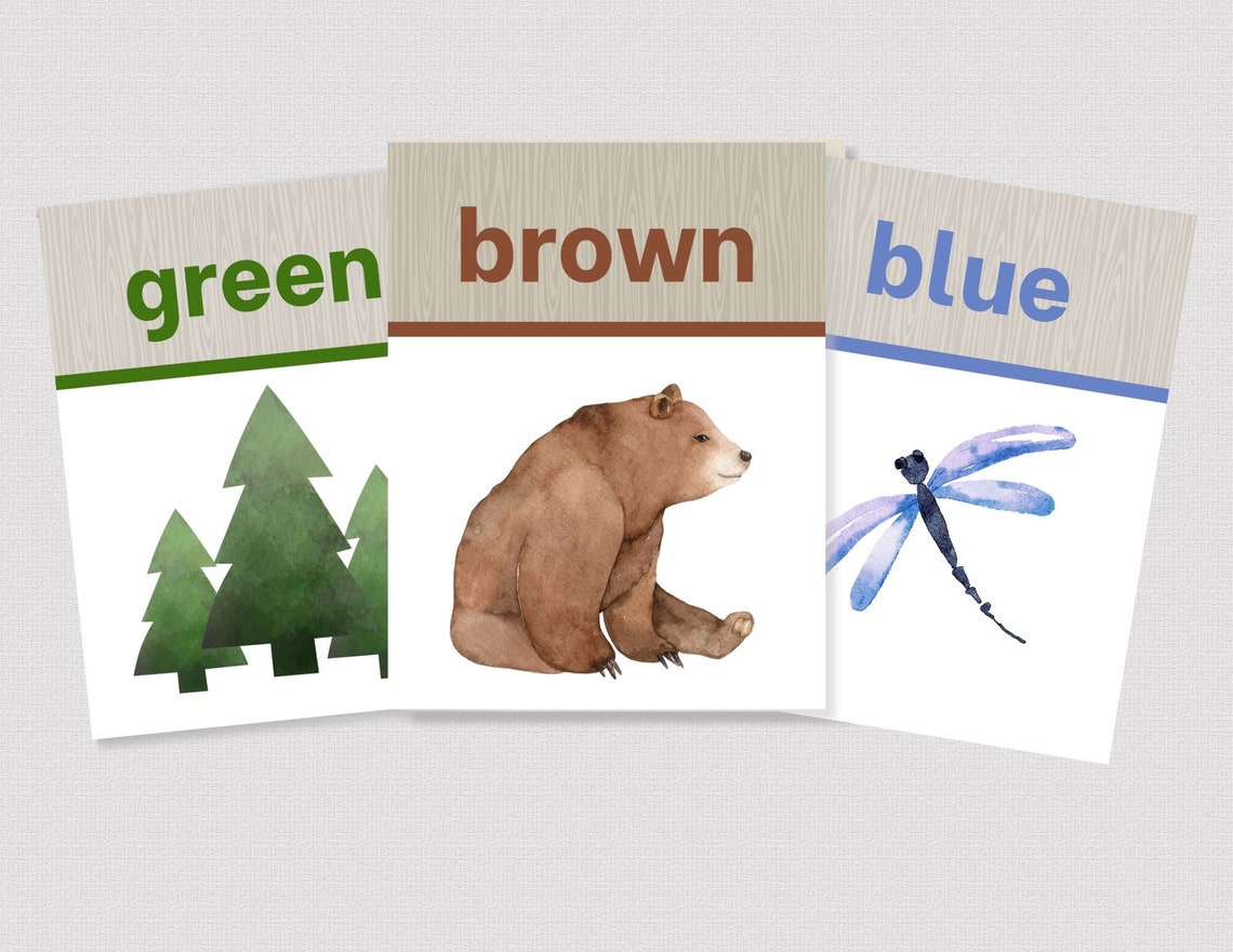 WOODLAND COLOR POSTERS for Classroom, Printable Color Wall Posters ...