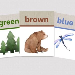 WOODLAND COLOR POSTERS for Classroom, Printable Color Wall Posters ...