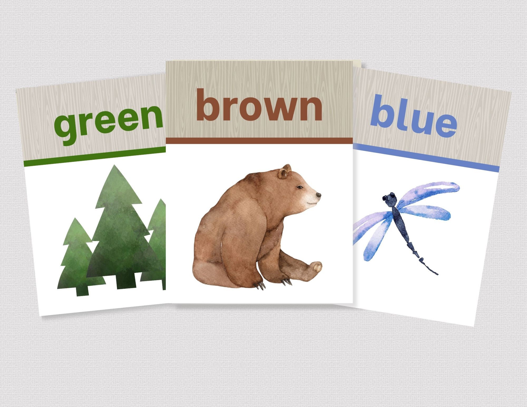WOODLAND COLOR POSTERS for Classroom, Printable Color Wall Posters ...