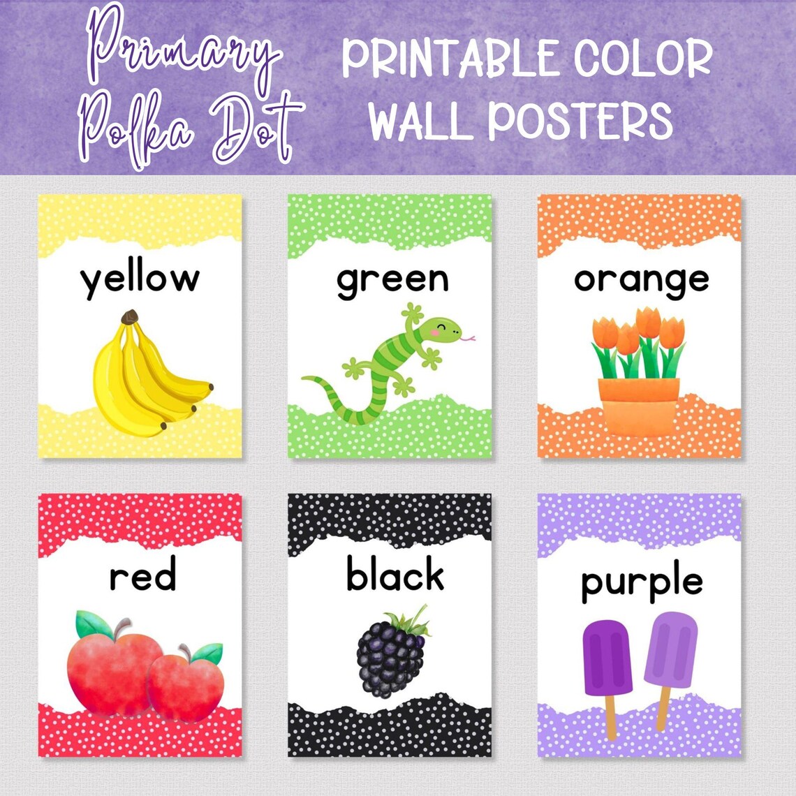 COLOR POSTERS for CLASSROOM Bright Polka Dot, Printable Color Wall ...