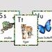 JUNGLE ALPHABET POSTERS, Printable Safari Animals Alphabet Posters, Abc ...