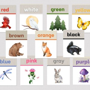 Woodland Color Posters for Classroom, Printable Wall Posters - Etsy