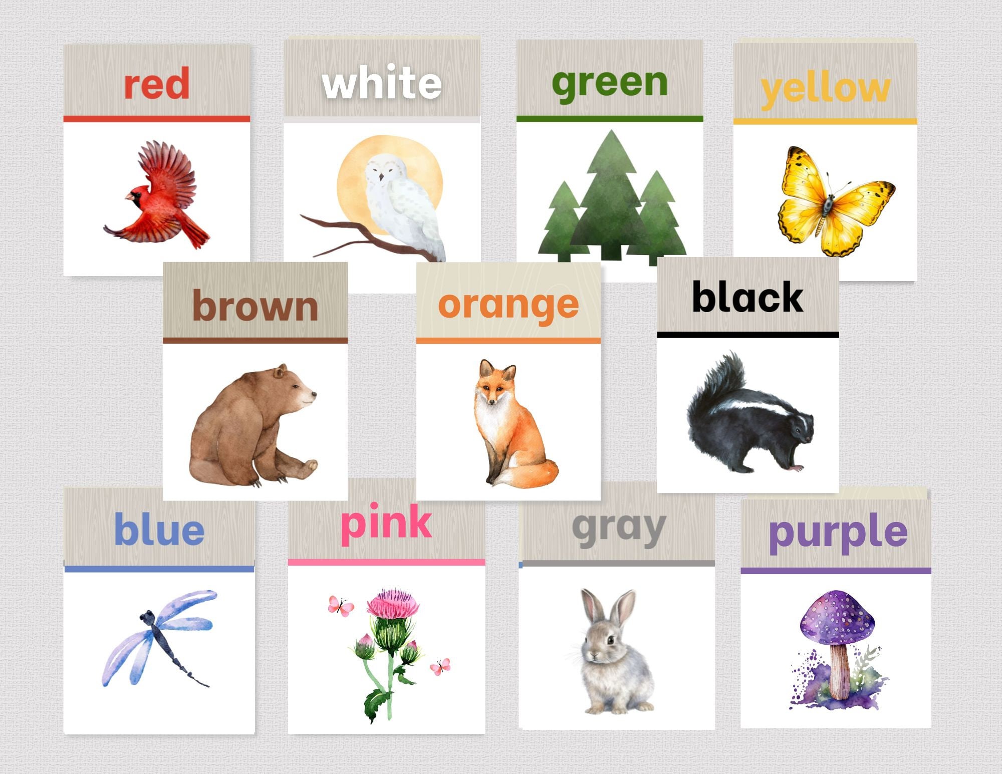 WOODLAND COLOR POSTERS for Classroom Printable Color Wall - Etsy