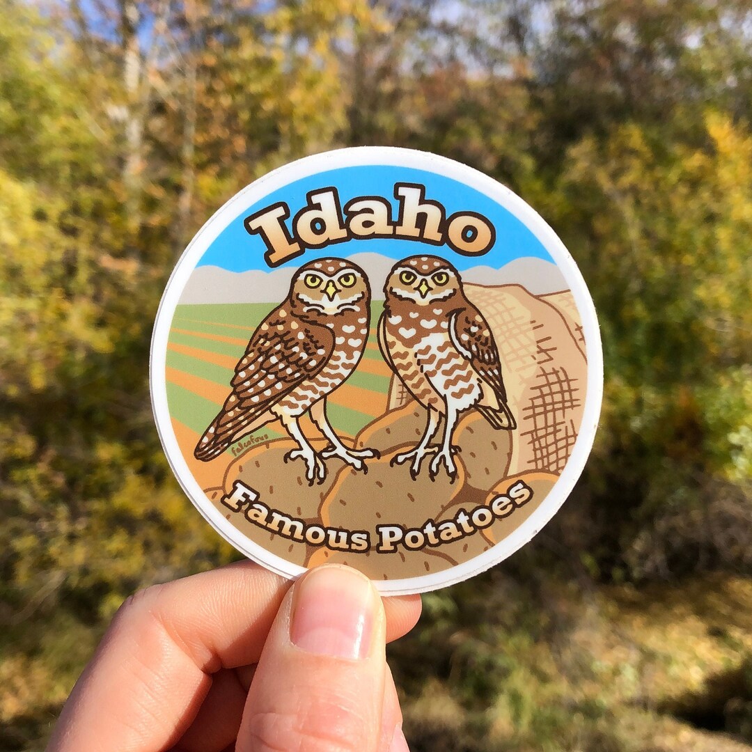 Idaho Famous Potato Owls 3 Burrowing Owl Vinyl Sticker - Etsy