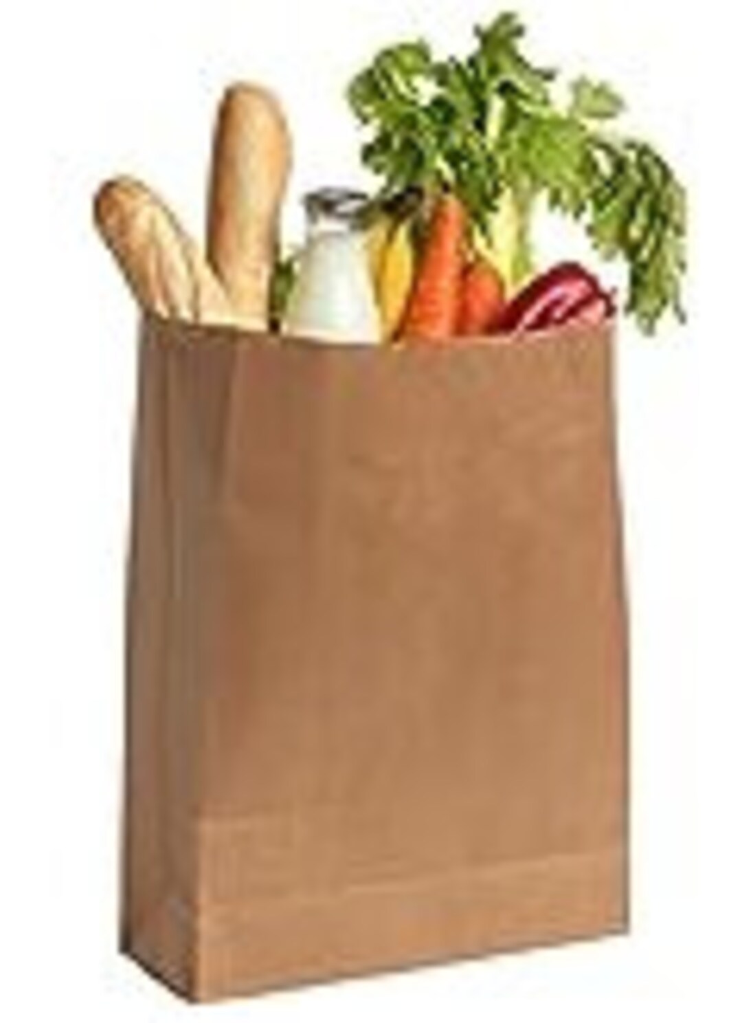Kraft Brown Paper Bags 100 Count Kraft Brown Paper Grocery - Etsy
