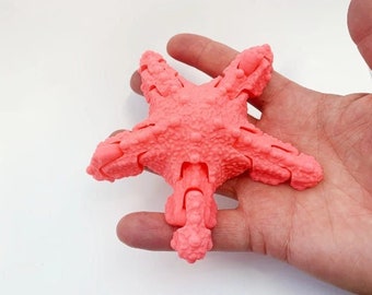 Starfish Fidget Toy - Etsy