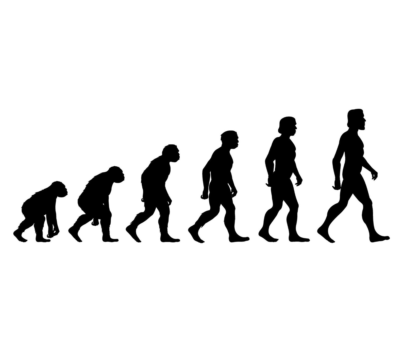 Evolution Svg Evolution of Man Png Walking Man Svg Files for - Etsy