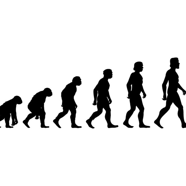 Evolution of Man - Etsy