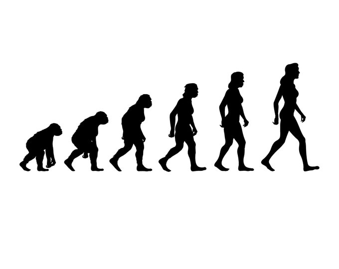 Evolution of Men SVG, Digital File, Human Evolution Vector Silhouette ...