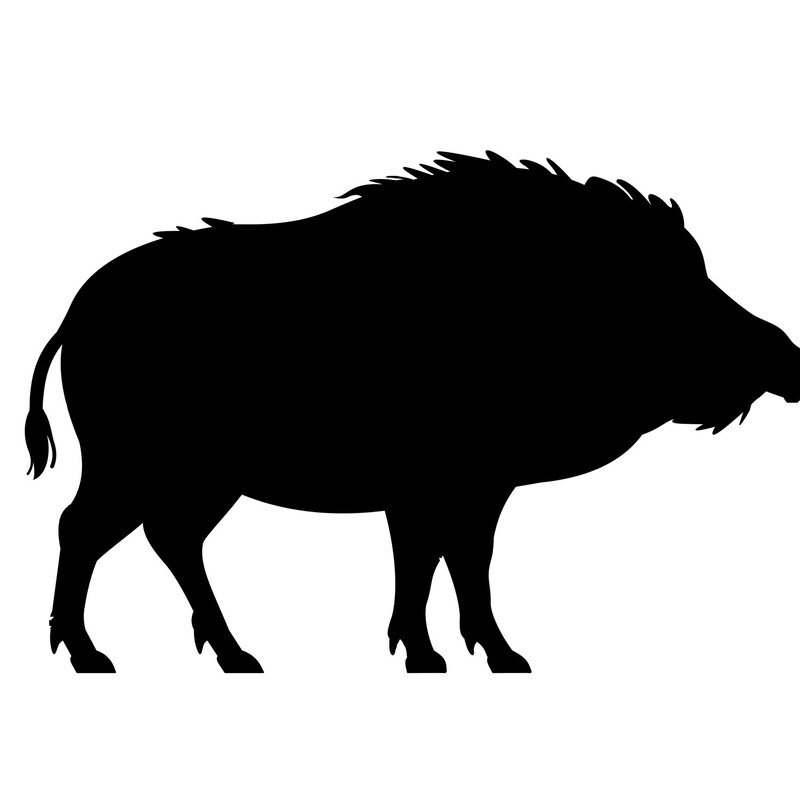 Wild Hog - Etsy