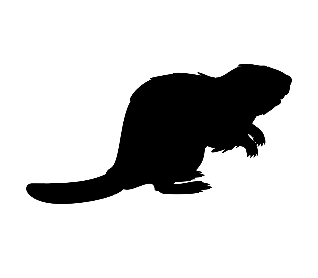 Beaver Svg, Beaver Clipart, Beaver Png, Eps Vector Files for Printing ...