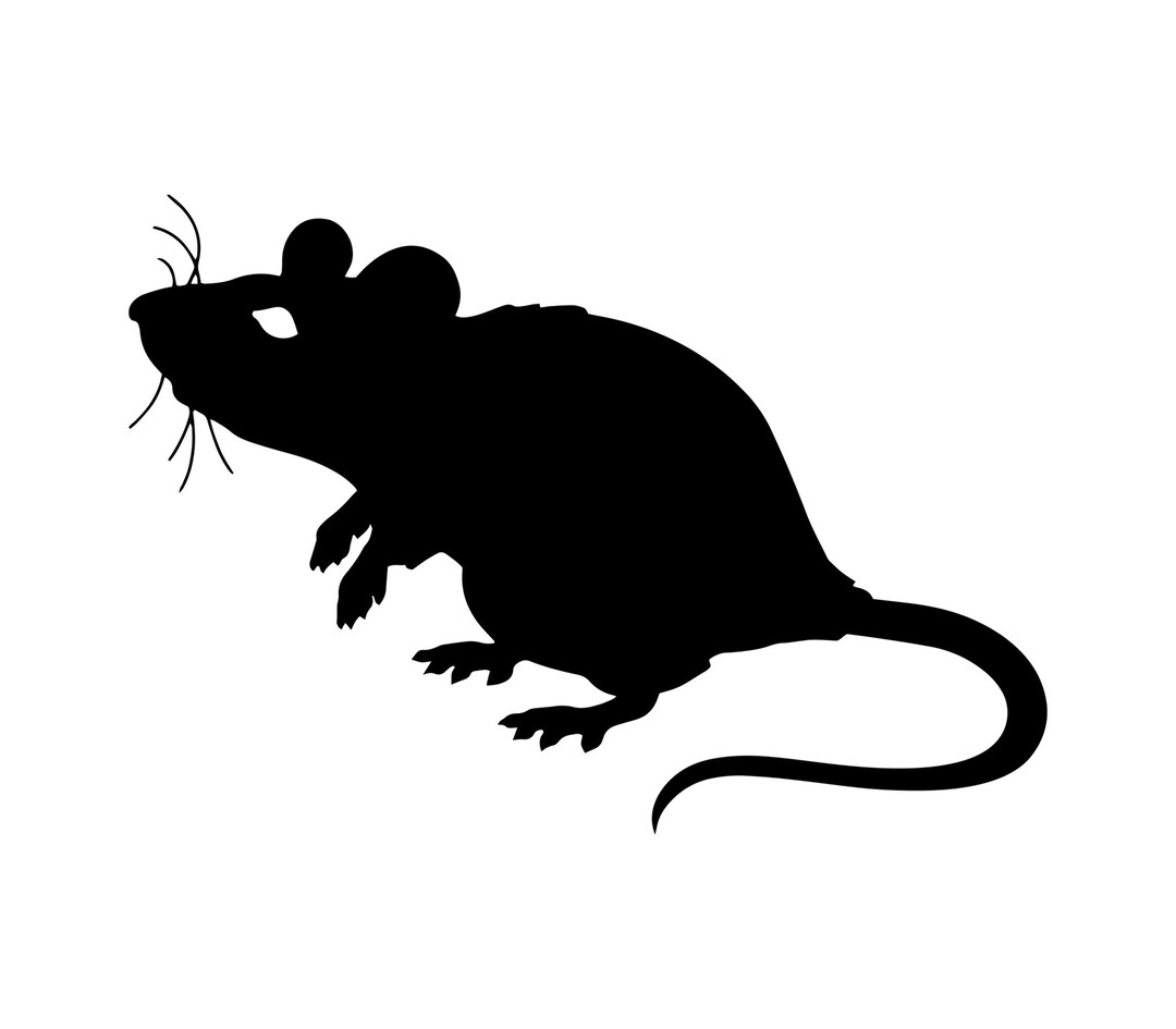 Rat Svg, Mouse Svg, Png, Eps Vector Graphics - Etsy
