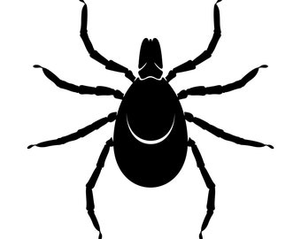 Tick SVG, Ticks Svg, Insect Svg, Tick Clipart, Tick Files for Cricut ...