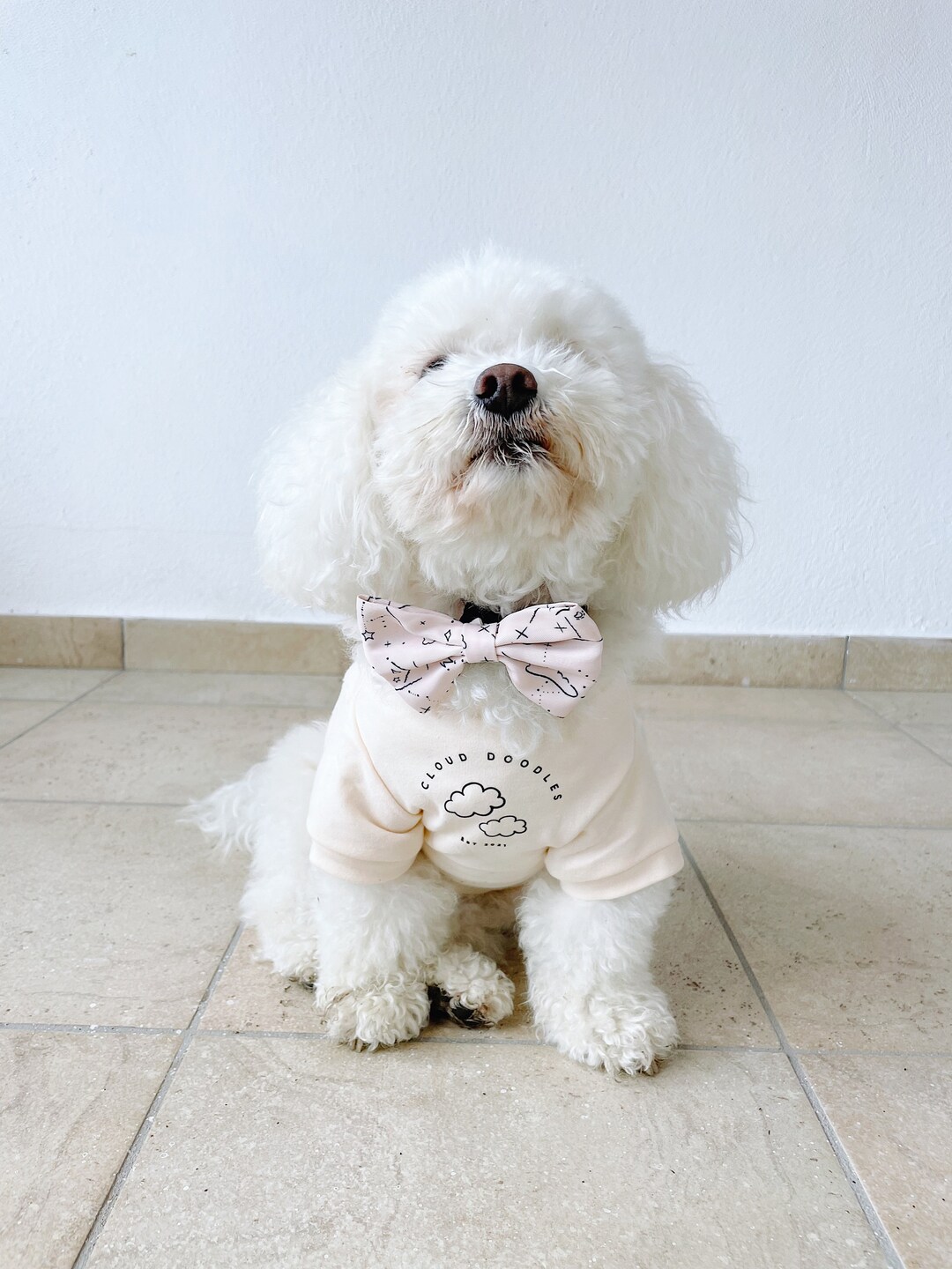 PAWSITIVE VIBES BEIGE Dog Crewneck | Dog Tees| Dog T-shirt| Pet T-shirts| Dog Fashion| Dog ...