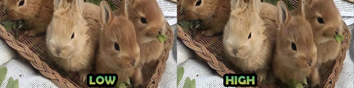 Cottagecore Aesthetic Wall Collage Kit Goblincore Wall Collage Kit ...