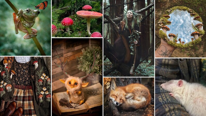 Goblincore Aesthetic Wall Collage Kit, Cottagecore Wall Collage Kit ...