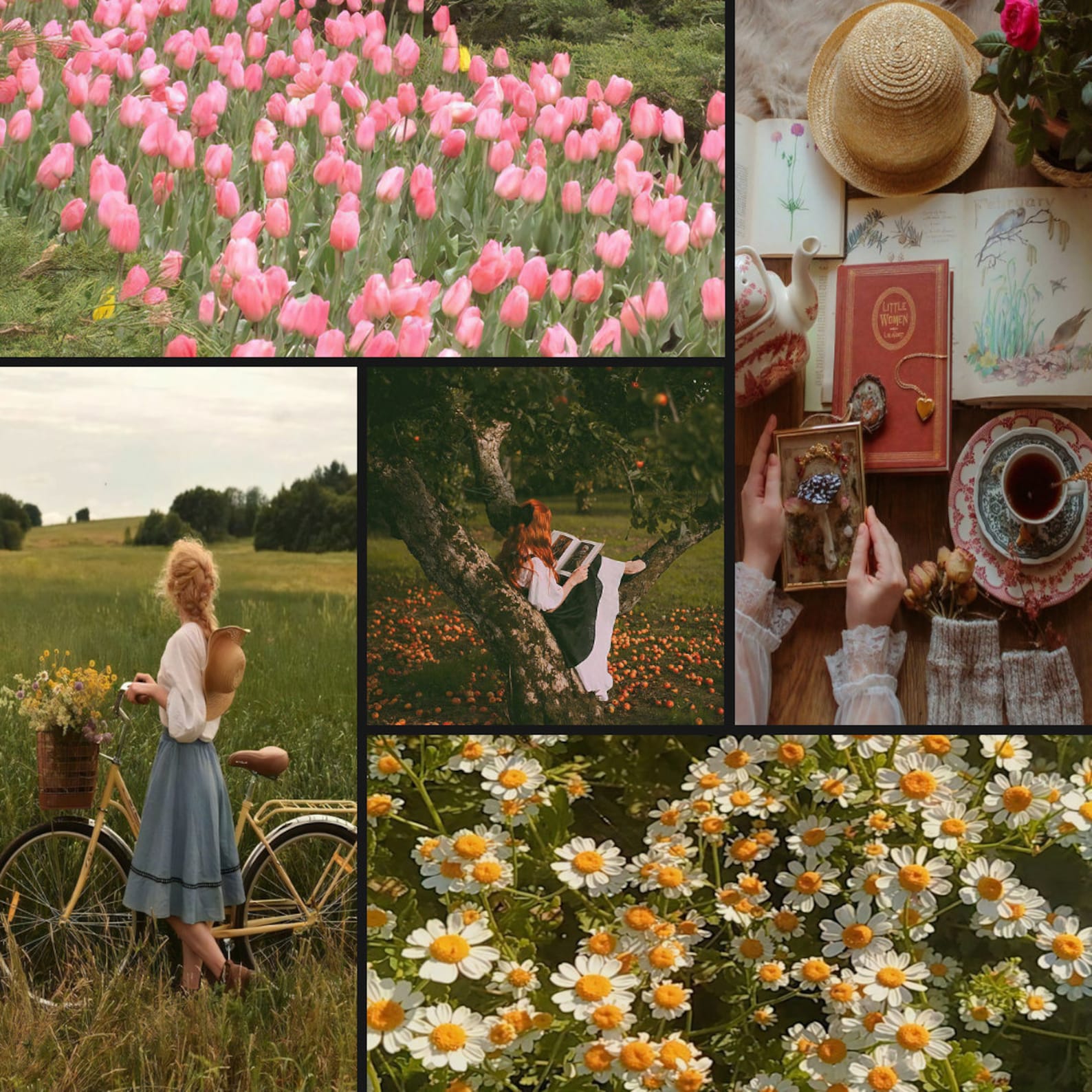 Cottagecore Aesthetic Wall Collage Kit Goblincore Wall Collage Kit ...