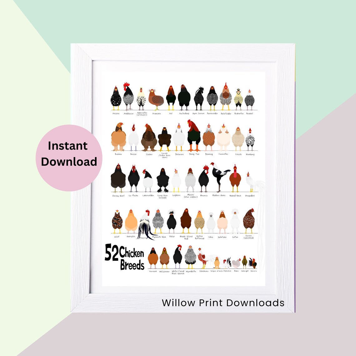 Chicken Breeds Print, INSTANT DOWNLOAD, Chicken Types Print, Chicken ...