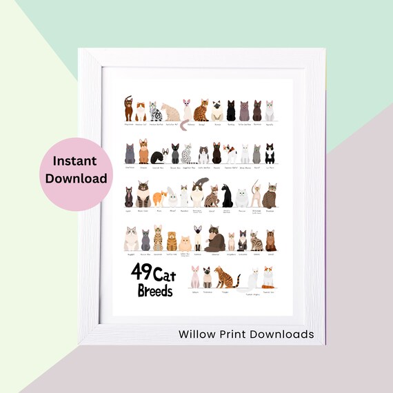 Cat Breeds Print INSTANT DOWNLOAD Cat Types Print Cat Art - Etsy