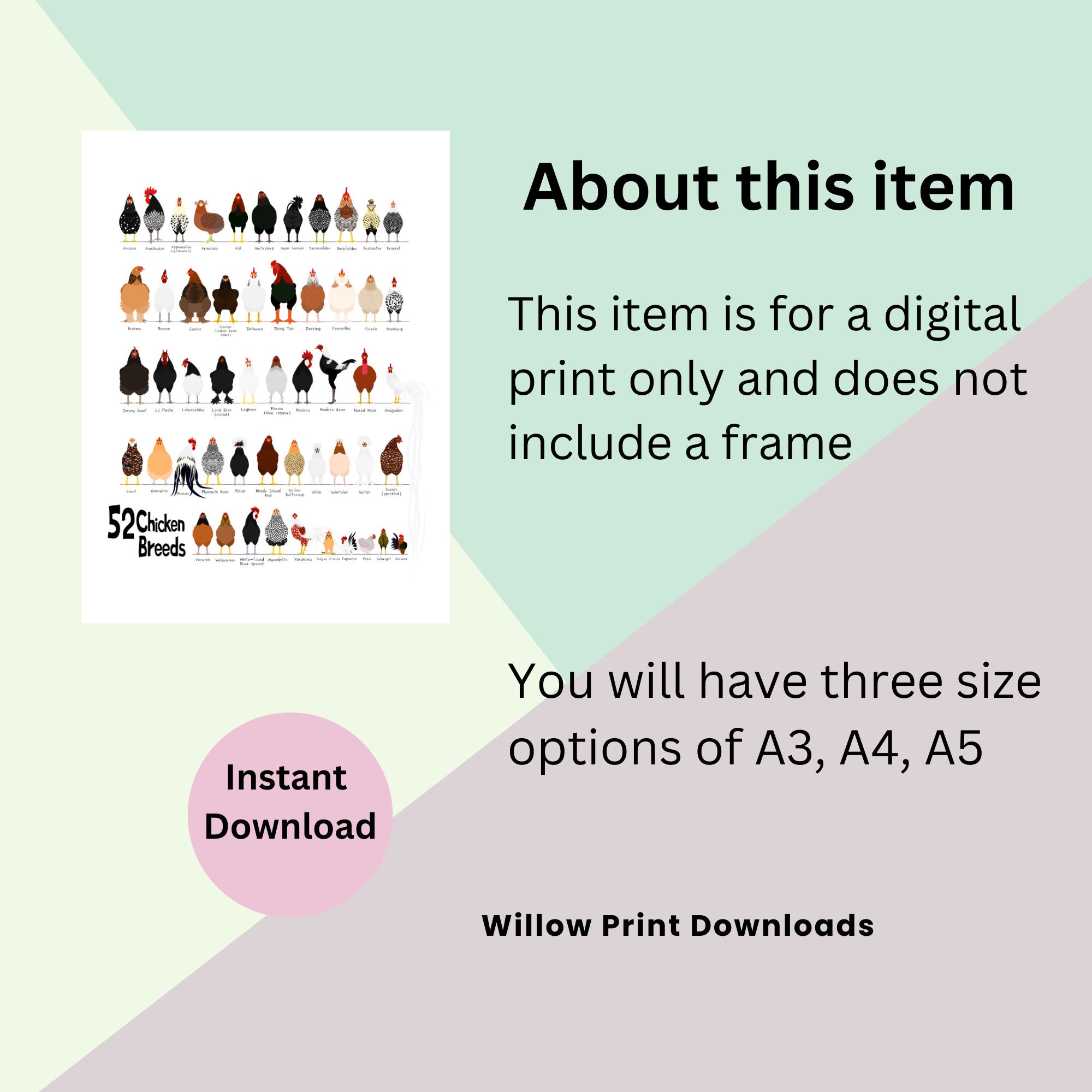 Chicken Breeds Print, INSTANT DOWNLOAD, Chicken Types Print, Chicken ...