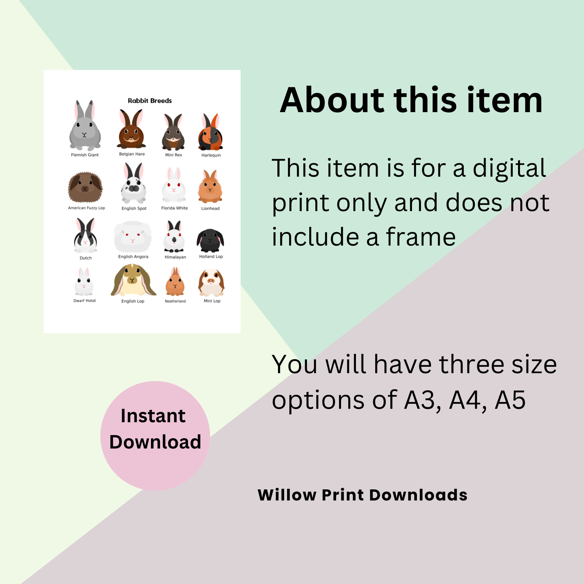 Rabbit Breeds Print, INSTANT DOWNLOAD, Rabbit Types Print, Rabbit Art ...