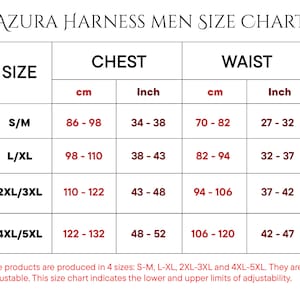 Viking Warrior Leather Rave Harness for Men - Plus Size Options ...