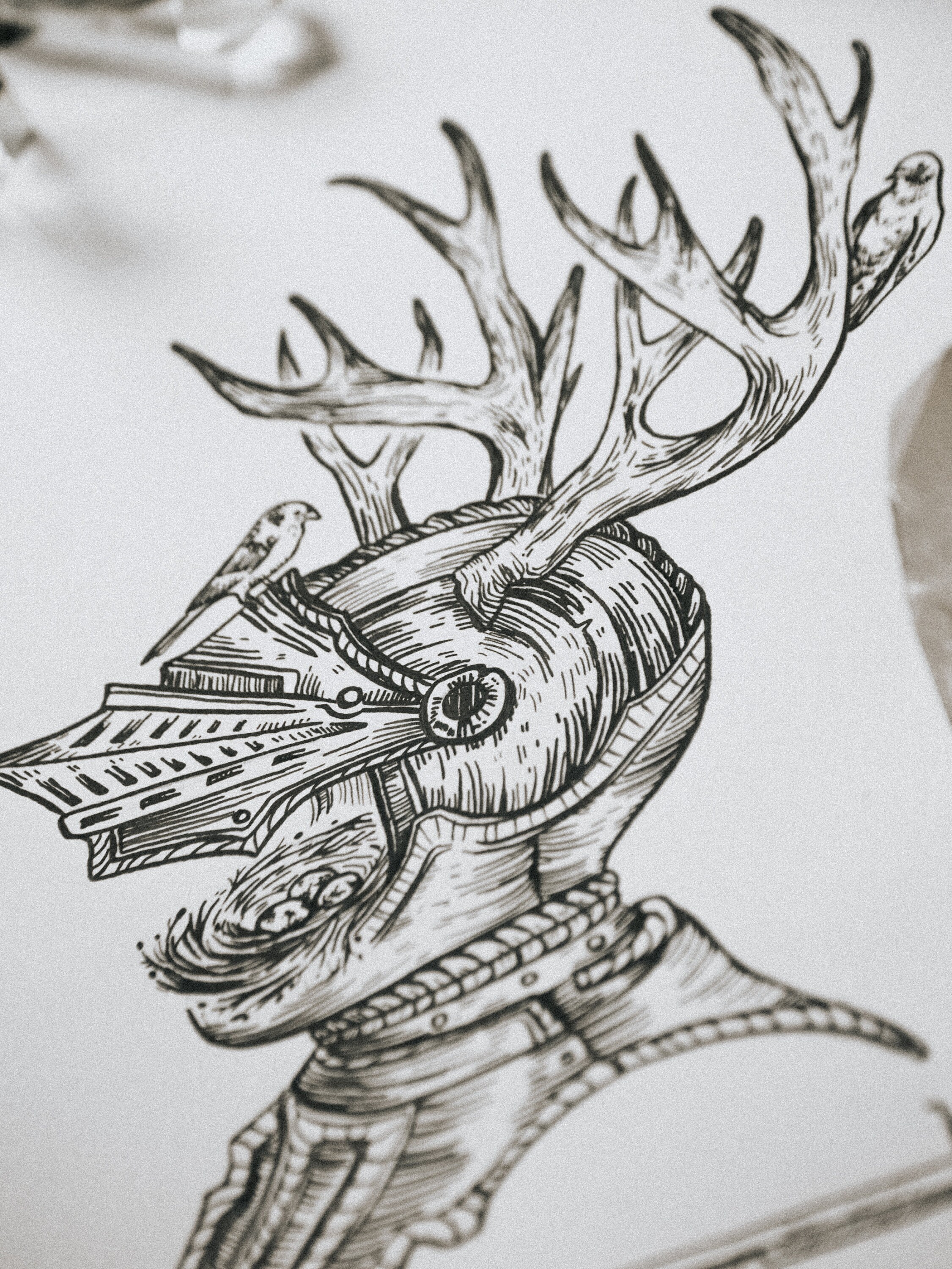 Print "bird Knight"- Ink Illustration in Black and White, Medieval ...