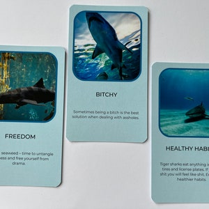 Snarky Shark Oracle Cards Hilarious Guidance That is Accurate and ...