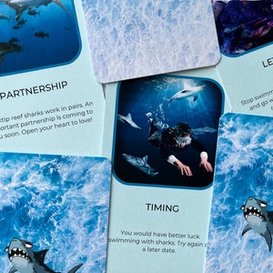 Snarky Shark Oracle Cards Hilarious Guidance That is Accurate and ...