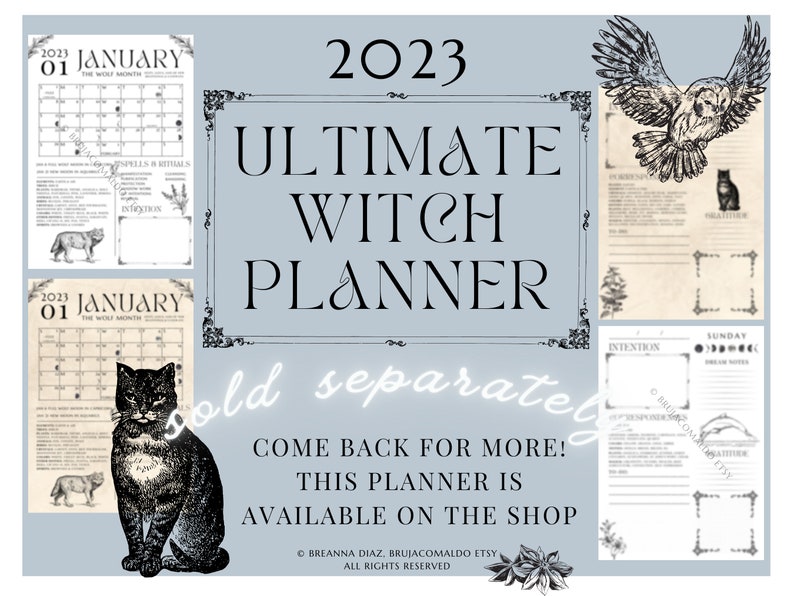 Moon Time Planner Digital Lunar Journal Inner Seasons Menstrual Cycle ...