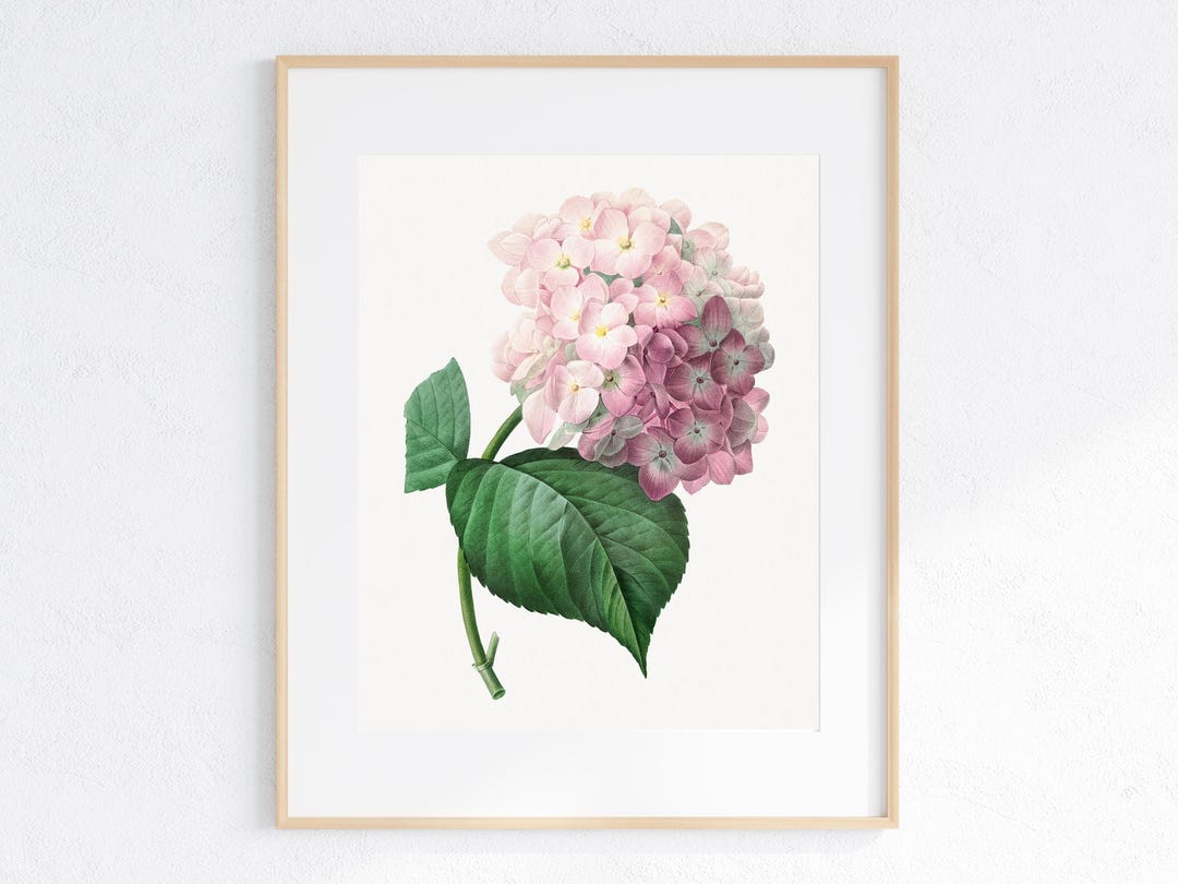 PINK Flower Art Print Botanical Art Print Vintage Farmhouse Print ...