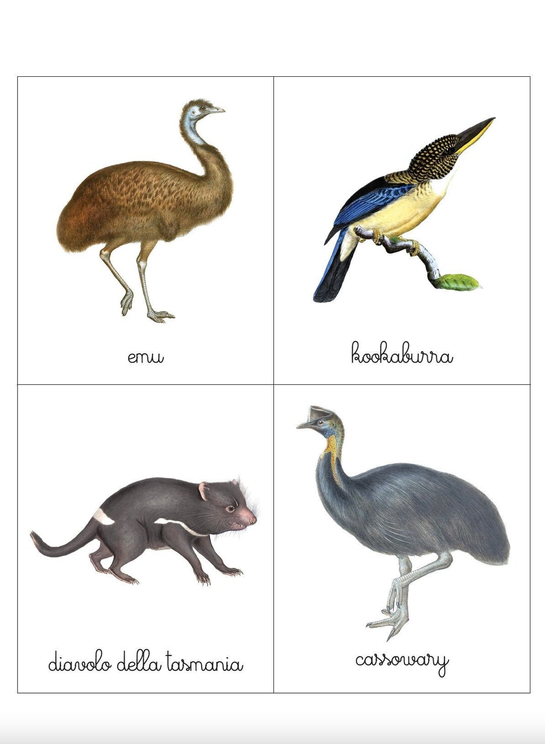 Printable Montessori Set Animals of the World Set Stampabile Montessori ...