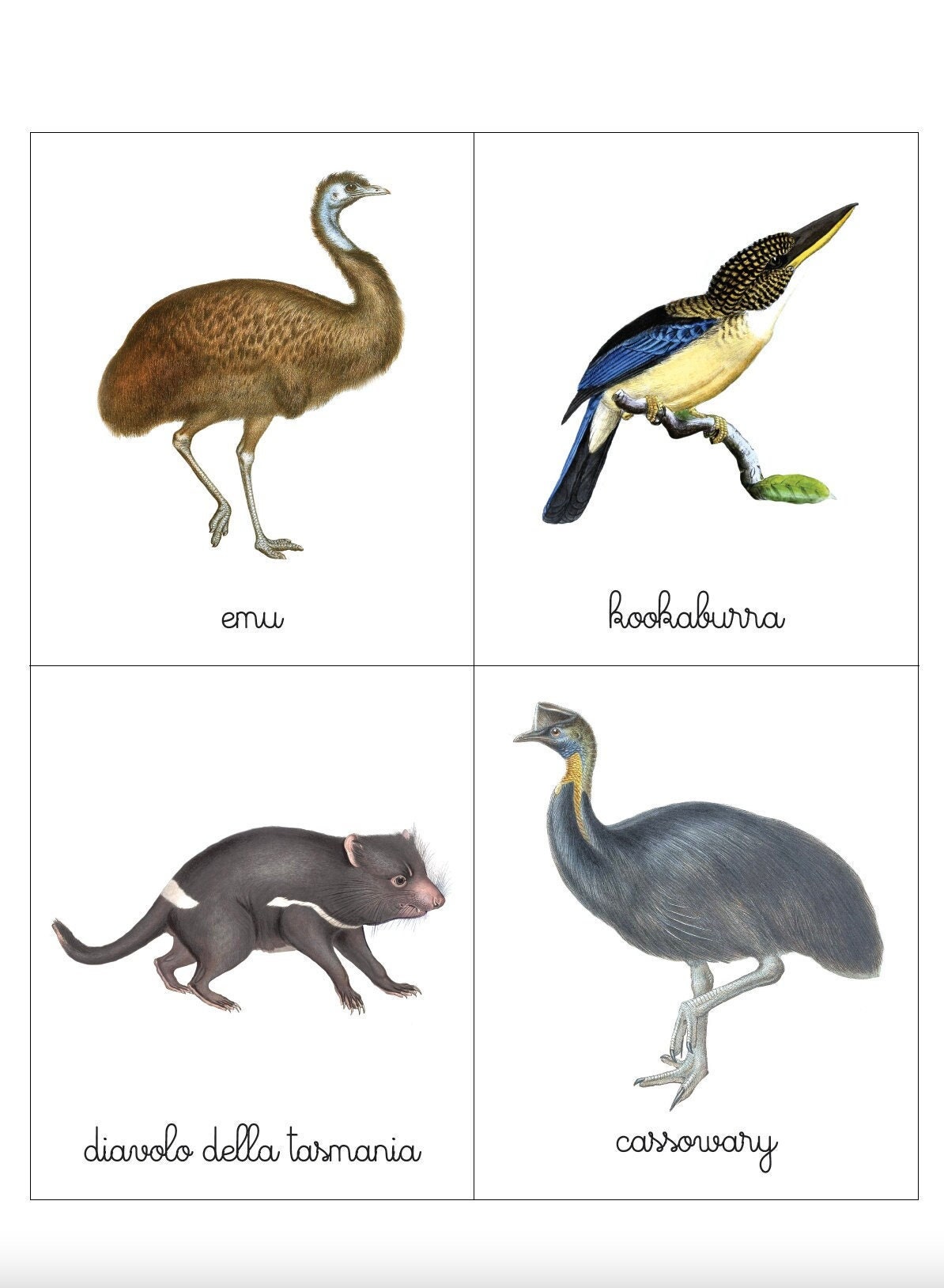 Printable Montessori Set Animals of the World Set Stampabile Montessori ...