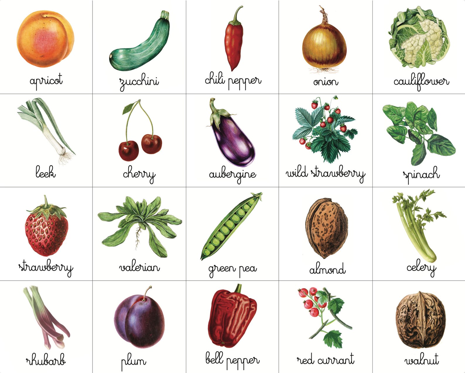 Printable Fruits & Veggies Bingo - Tombola Frutta E Verdura - Etsy