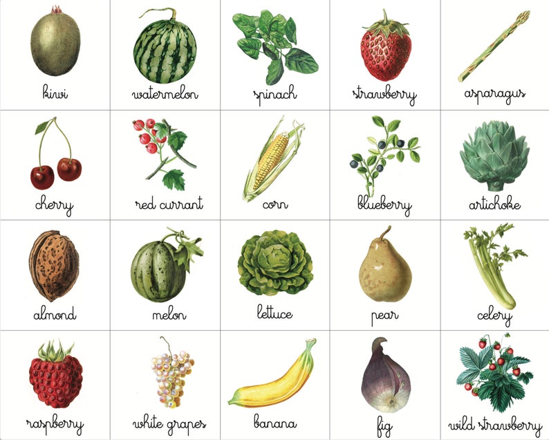 Printable Fruits & Veggies Bingo - Tombola Frutta E Verdura - Etsy