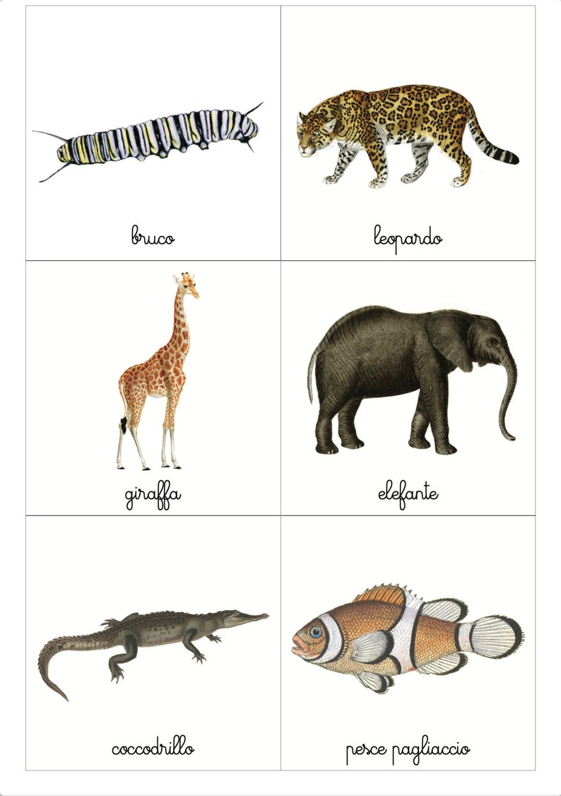 Printable Montessori Matching Game - Gioco Stampabile Montessori Di ...