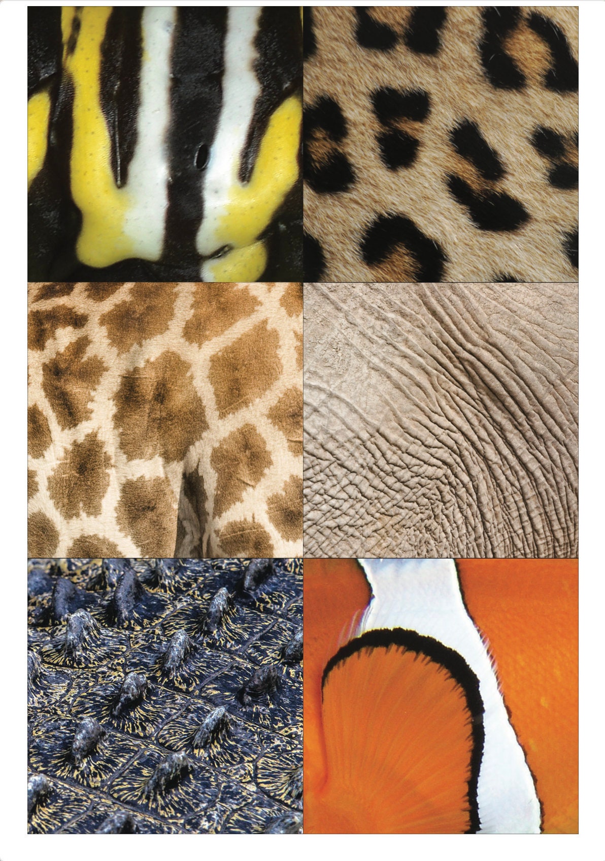 Printable Montessori Matching Game - Gioco Stampabile Montessori Di ...