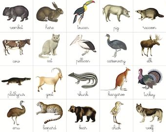 Printable Montessori Set Animals of the World Set Stampabile Montessori ...