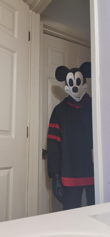 Mickey's Mouse Trap Mask - Etsy