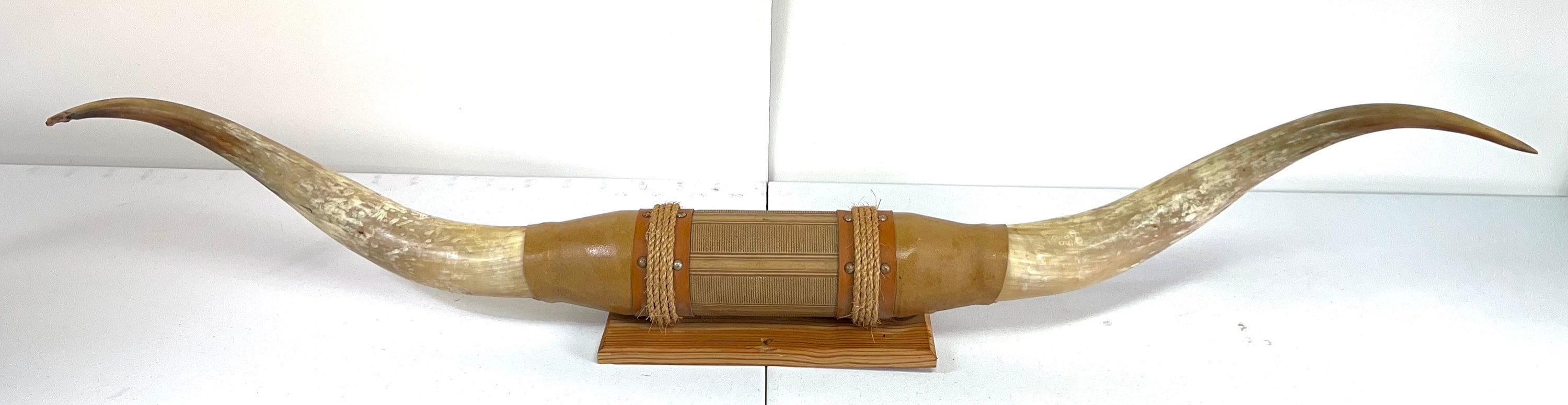 Vintage Authentic Bull Horns Huge 53” Wide Wall Art - Etsy