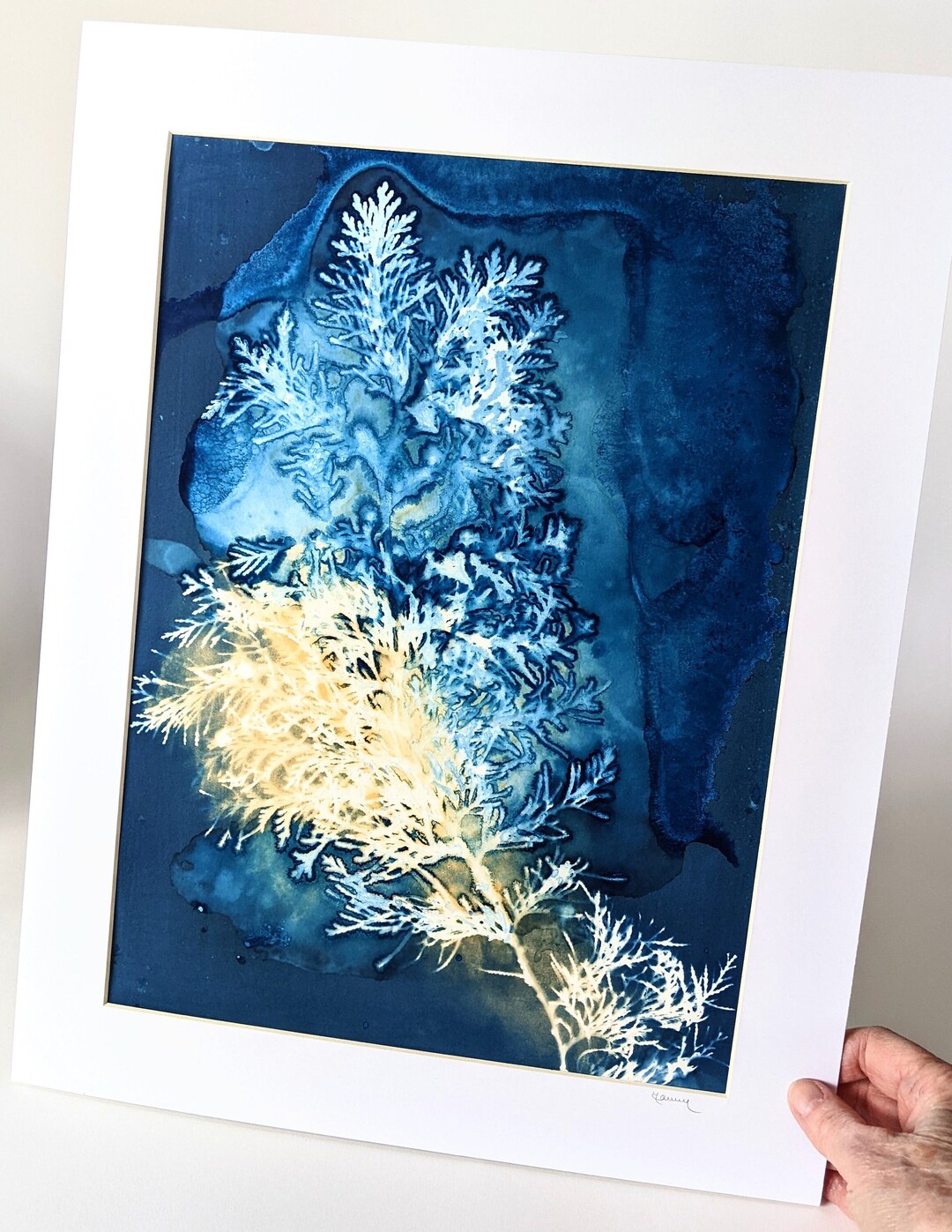 A Semi-bleached, Original Wet Cyanotype of Cedar. Mounted to Fit a 18 X ...